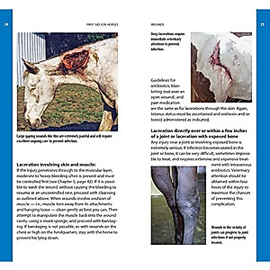 Dr. Kellon's Guide to First Aid for Horses: A Quick and Easy Reference to Conditions That Require Emergency Treatment