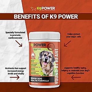 K9 Power Young at Heart Senior Dog Multivitamin 1 lb – Advanced Supplement for Seniors – Supports Brain, Heart, Vision, Joint Health, and Mobility