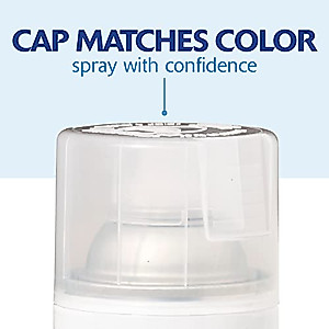 Rust-Oleum 334029-6PK Painter's Touch 2X Ultra Cover Spray Paint, 12 oz, Gloss Clear, (Pack of 6)