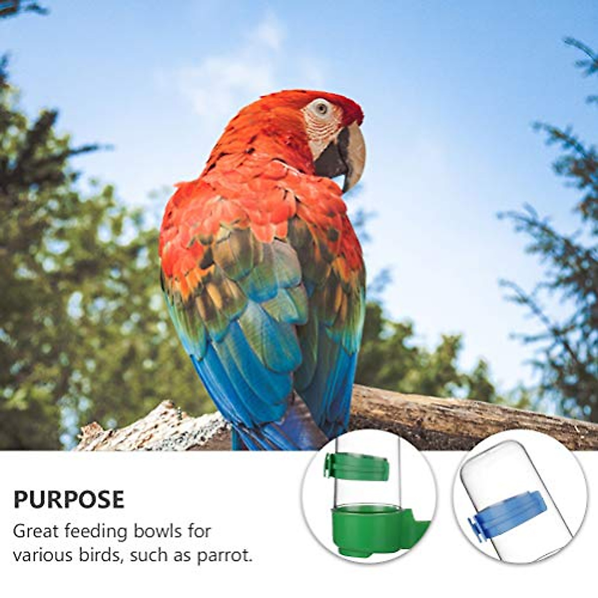 Balacoo 6pcs Automatic Bird Waterer Food Feeder Bird Water Bottle Drinker Food Container Dispenser Hanging Birds Cage for Parrots Budgie (Red Blue Green)