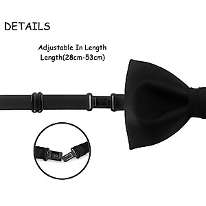 Mens Matte Satin Bowtie Solid Bow Ties (Black Classic)