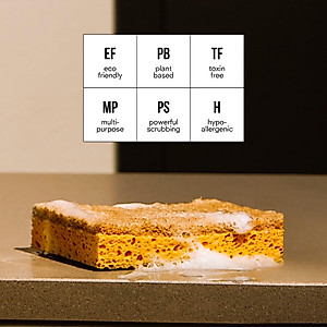 Public Goods Walnut Scrubber Sponge | Cleaning & Scrubbing Sponges for Dishes & Kitchen Sink | Natural, Plant-Based Sponges | Made in Canada | Pack of 4