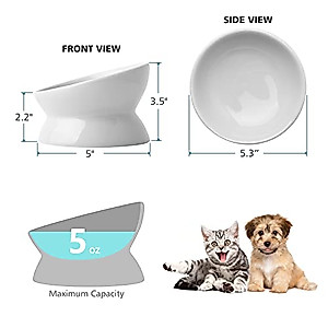 Nucookery Ceramic Cat Food Bowl Elevated,Raised Tilted Bowl Protect Pets' spines and Neck, Anti Vomiting Cat Bowl, Small Dog cat Kitten Supplies (5“, Pure White)
