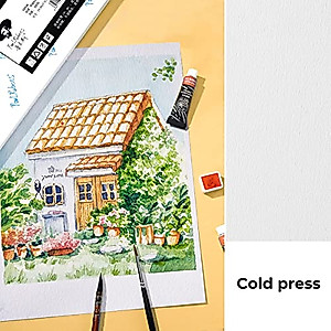 Paul Rubens 60 Sheets Watercolor Paper, Cold Press 50% Cotton&140lb /300gsm Acid-free Bulk White Paper for Artists, Students & Adults（7.68 * 5.31 inch）