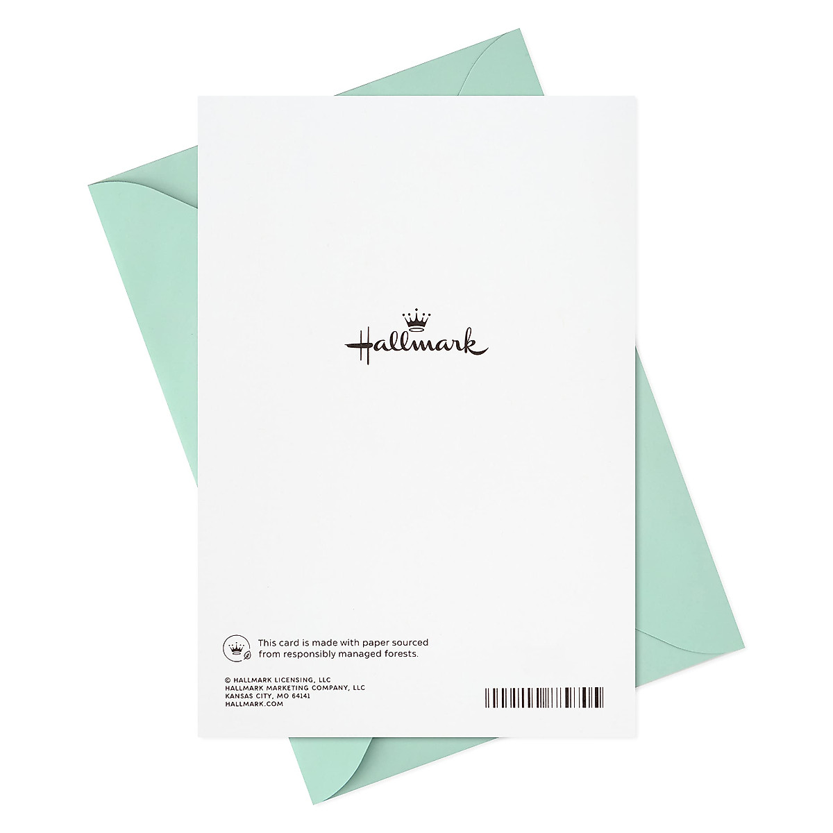 Hallmark Card for Sister for Mothers Day, Birthday, Thinking of You, Congrats, Any Occasion (Love and Pride)