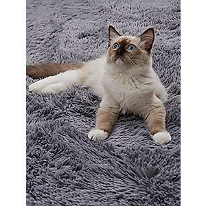 OhGeni Machine Washable 4x5.3 Feet Area Rug for Bedroom, Living Room, Dorm Room, Fluffy Soft Faux Fur Rugs Non-Slip Floor Carpet, Kids Nursery Modern Home Decor Grey (OG1104)