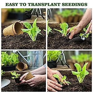 40Pcs 3.15 Inch Peat Pots, Biodegradable Eco-Friendly Round Plant Seedling Starters Kit, Seed Germination Trays with 10 Plant Labels for Flower Vegetable Tomato Saplings & Herb Seed Germination