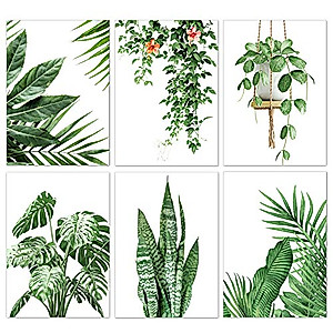 PP OPOUNT 6 Pack 5D Diamond Painting Kits for Adults, Green Plants Full Drill Round Diamond Cross Stitch Diamond Painting by Number Kits for Home Wall Decor(11.8x15.7 inch, Patent Product)