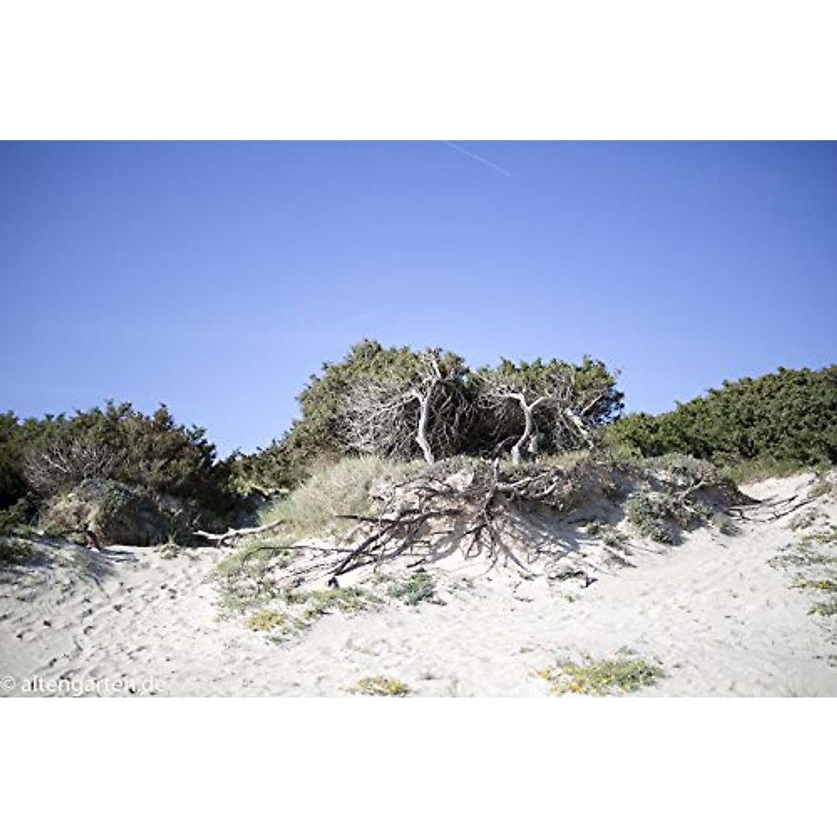 Tamron F1.8 VC 35mm USD Lens for Nikon - Black