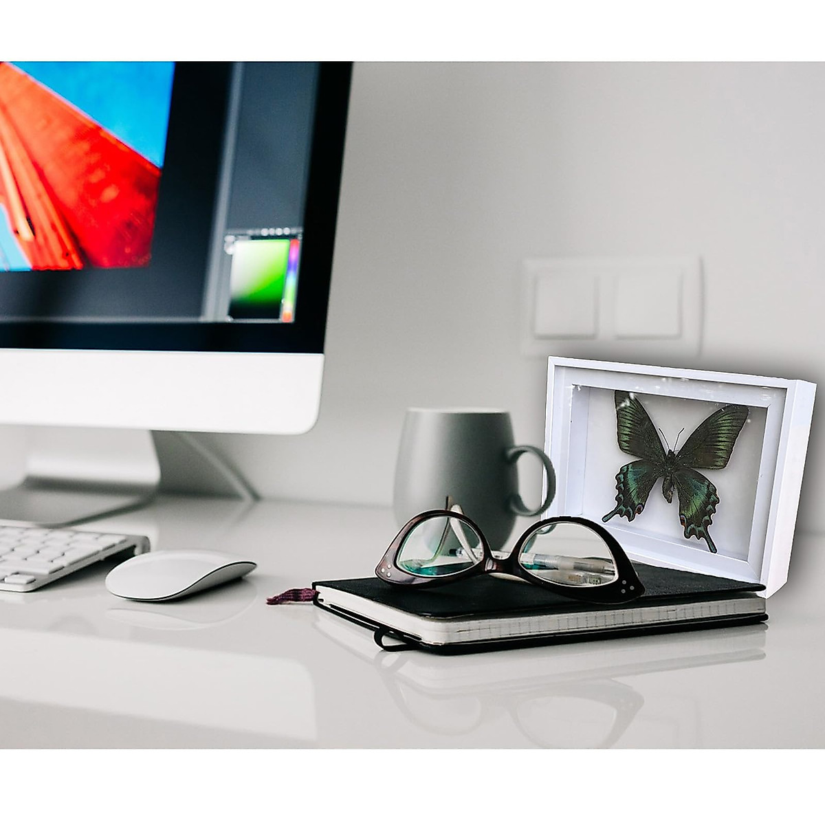 CXUEMH 2 Pcs Framed Butterfly Real Butterfly Specimens Taxidermy Butterfly in Frame Insect Collection Home & Office Desktop Decor Craft Gift for Men Women (Color A)