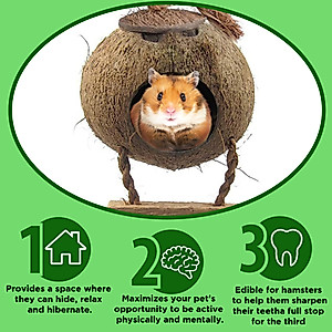 SunGrow Coconut Hamster House with Ladder with Opening Hole, Nesting Home and Feeder with Hanging Loop