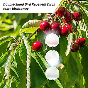 Hedoc Reflective Bird Scare Discs Set, 24PCS Large Double-Sided Bird Deterrents for Outside, Bird Reflectors to Keep Birds, Woodpeckers, Pigeons Away from House, Outdoor Garden, Patio and Yard