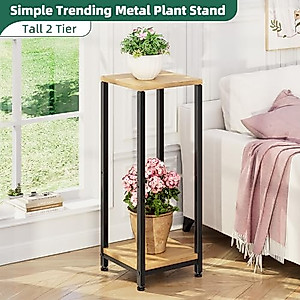 Simple Trending Plant Stand Indoor Corner Tall 2 Tier Metal Modern Flower Plant Shelf Holder, Heavy Duty Wood Storage Stand (2 Tier-Black)