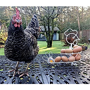 EggShuShu Gray Egg SKelter - Fresh Holder For Countertop ChicKen Stand BasKet Spiral Kitchen Wire RacK Eggs Farm with Timer