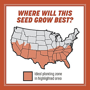 Pennington Bermudagrass Grass Seed 15 lb