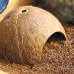 PINVNBY Natural Coconut Reptile Hideouts Lizard Coco Hut Hermit Crab Hut Aquarium Fish Hide Cave Spider Snail Climber Toys (2 Packs)