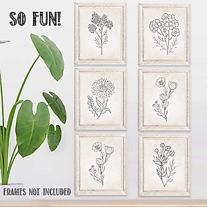 Beige Florals in Black and White Set of 6-8x10 Unframed Art Prints - Makes a Great Gift to Gardening Enthusiasts and Lovely Living Room Decor Under $20