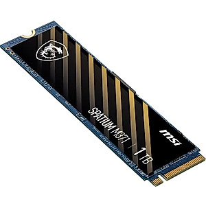 MSI SPATIUM M371 NVMe M.2 1TB Internal SSD PCIe Gen3 NVMe 3D NAND (SPATIUM M371 NVMe M.2 1TB)