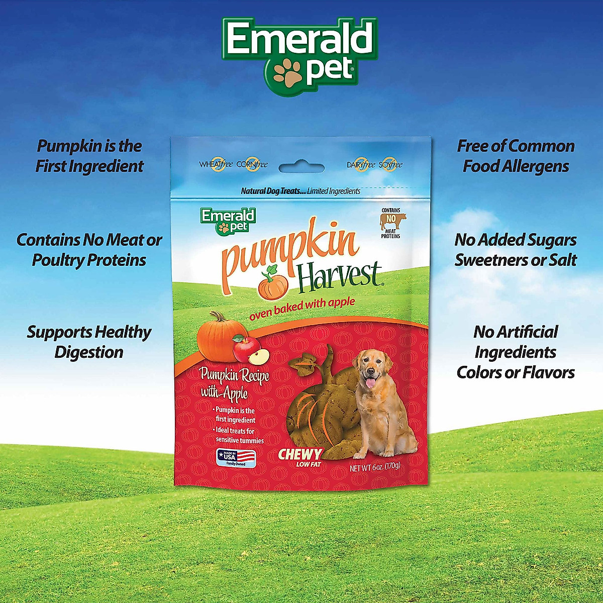 Emerald Pet Pumpkin Harvest Pumpkin Dog Treats — Low-Fat Chewy Natural Dog Treats with Pumpkin for Digestive Health — Meat Free, Poultry Free, Wheat Free Dog Treats — Apple, 6 oz