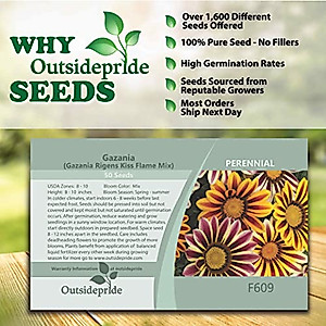 Outsidepride Gazania Kiss Flame Heat & Drought Tolerant Garden Flower & Ground Cover Plants - 50 Seeds