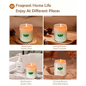 Citronella Candles Outdoor Indoor | Handmade Home Scented Jar Candles Gift Set for Women Men | Soy Wax Candles Aromatherapy Candle for Home Garden Patio Perfect for Christmas Valentine's Day Birthday