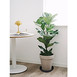 Bleuhome 4 Pack of 16 inch Plant Saucer (13.5" Base), Heavy Duty Plastic Plant Tray for Pots, Flower Water Trays for Indoors, Bird Bath Bowls, Plant Drip Saucers for Planter 14"/15"/16" (Black)