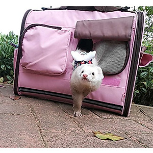 Ferret Harness and Leash Adjustable, Blue Sakura Cotton Cloth Ferret Walking Vest, Soft and Breathable Ferret Lead Leash with Angel Wings and Safe Bell