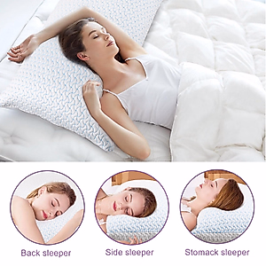 Iwacool Cooling Cervical Pillow for Neck Pain Relief and Memory Foam Pillows