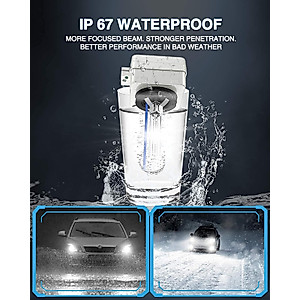 Marsauto D1S HID Bulbs, 6000K Cold White, Xenon Bulb(Not Halogen/Led Bulbs), 5 Years Lifespan, Waterproof Design, Up to 350% Brightness, Low/high Beam,2 Pcs