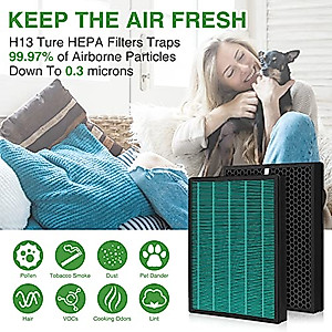 400/400S Replacement Filter for Coway AIRMEGA Max2 400/400S Air Purifier, Max 2 Green True HEPA and Active Carbon Filter Set, AP-2015-FP
