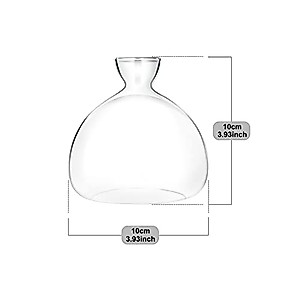 Acorn Sprouting Seed Starter Planter Vase Terrariums Pot Acorn Tree Growing Kit Deco Glass Bulb Propagation Vases Grow Acorn Trees at Home Acorn Tree Growing Kit Unusual Gardening Gifts for Her Him