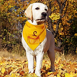 8 Pieces Thanksgiving Dog Bandanas Fall Pumpkin Pet Scarf Triangle Scarf Pet Adjustable Washable Dog Bib for Thanksgiving Pet Costume Supply (Vivid Pattern)