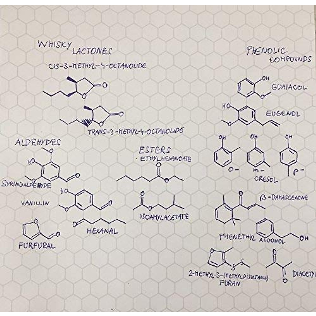 BENZNOTE, Loose Leaf Filler Paper, for Organic and Biochemistry, 8-1/2" x 11", Hexagonal Graph Rule, Green Lined, 3-Hole Punched, 112 Pages