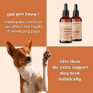 Dog Prenatal Vitamins Pregnant Kit - Prenatal Vitamins for Dogs - Pregnant Dog Supplies - Prenatal Dog Vitamins - Prenatal Kit for Pregnant Dogs - Folic Acid for Dogs - Prenatal for Dogs