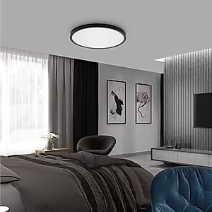 TALOYA LED Ceiling Light Office Black,3 Color Temperatures in One(3000k/4000k/6000k),15.8 Inch Thin Flat Modern Flush Mount LED Light Fixture for Living Room,24w Round