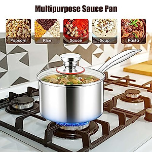 1Qt & 2 Qt Saucepan with Lid Set, E-far Triply 18/10 Stainless Steel Sauce Pan Pot for Cooking Pasta Warming Milk Boiling Water, Small Metal Cookware for Kitchen, Induction Ready & Heavy Duty