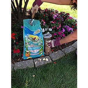 Wagner&#039;s 62012 Southern Regional Blend Wild Bird Food, 20-Pound Bag