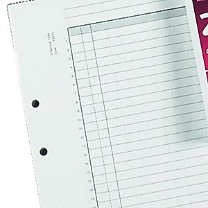 Rexel Twinlock Crown 3C Refill Sheets Double Ledger (Pack of 100 Sheets)