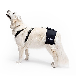 Ortocanis - Hip Support for Dogs with Hip Dysplasia or Osteoarthritis (L)