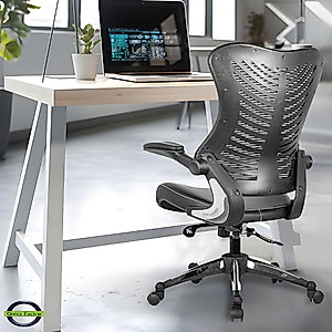 Officefactor Ergonomic Breathable Mesh Chair with Flip-up Armrests, Lumbar Support Executive Rolling Swivel Task Computer Office Chair or Home Desk Chair (Black MESH)