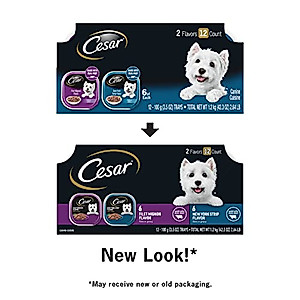 CESAR Adult Soft Wet Dog Food Filets in Gravy Variety Pack, Filet Mignon and New York Strip Flavors, 3.5 oz. - 12 Trays (1-Pack)