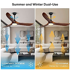 ZHUYILONG 60 Inch Ceiling Fans with Lights and Remote, LED Ceiling Fan with Light, Modern Indoor Outdoor Ceiling Fan for Patios Bedroom Living Room Kitchen Farmhouse (WY-038)