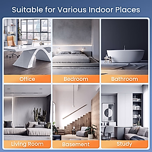 Yaufey 60 Pints Dehumidifier for Home and Basement Cover Spaces up to 5,000 Sq. Ft, Quiet Moisture Remove Intelligent Humidity Control with Drain Hose and 0.79 Gallons Water Tank