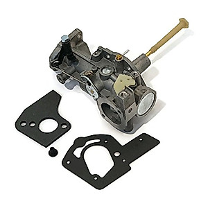 Autoparts New Carburetor Replacement for Briggs & Stratton 130202 112202 112232 134202 137202 133212 5Hp 692784,495951,495426, 498298