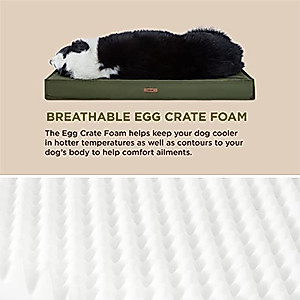 Lesure Outdoor Water-Resistant Dog Beds for Large Dogs - Dog Bed Washable with Oxford Fabric Surface, Large Orthopedic Foam Pet Bed with Removable and Durable Cover, Machine Washable