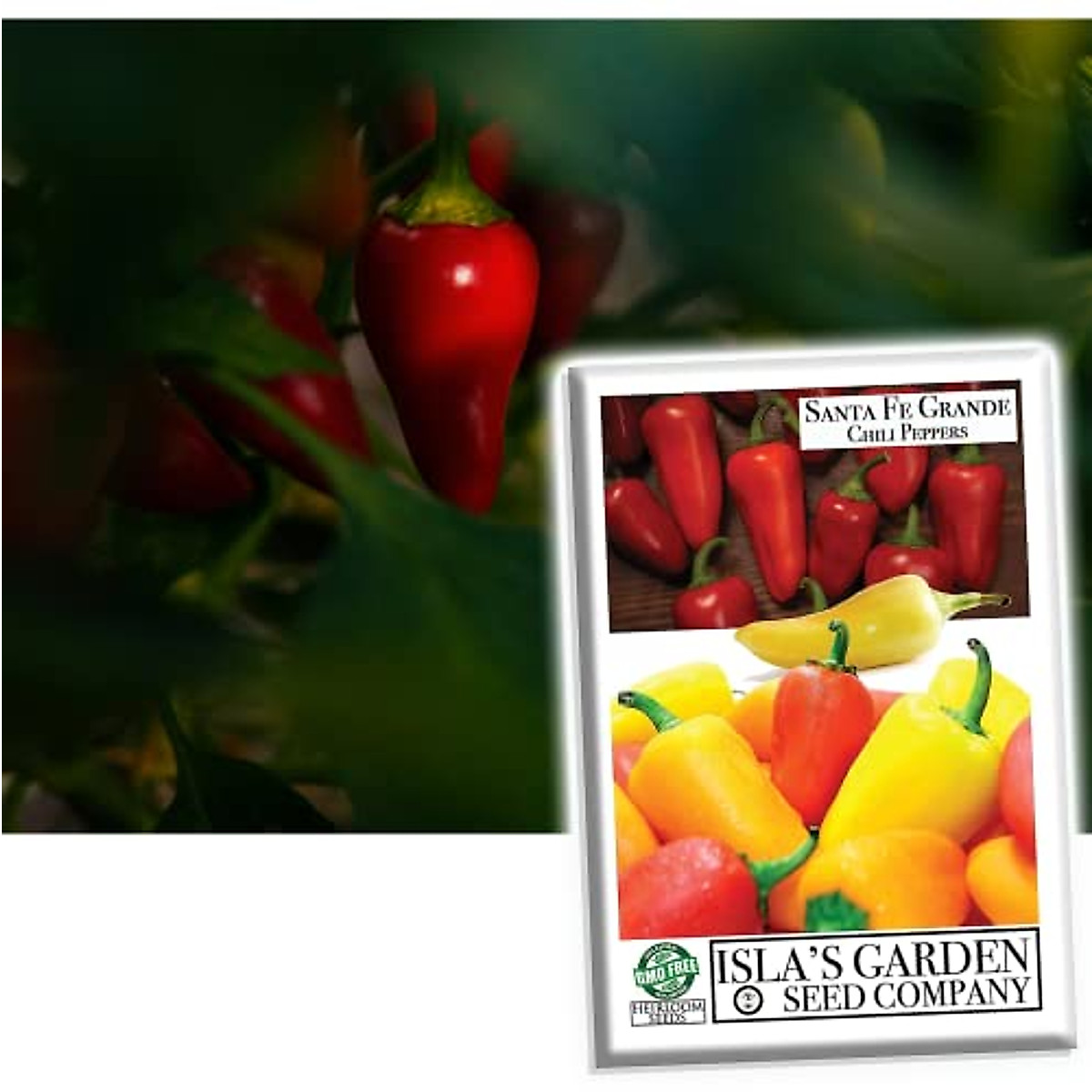 Santa Fe Grande Pepper Seeds for Planting, 50+ Heirloom Seeds Per Packet, (Isla's Garden Seeds), Non GMO Seeds, Botanical Name: Capsicum annuum, Great Home Garden Gift