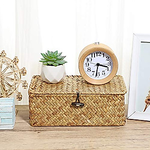 Vosarea Rattan Storage Basket Makeup Organizer Multipurpose Container with Lid 23x13x8cm(S)