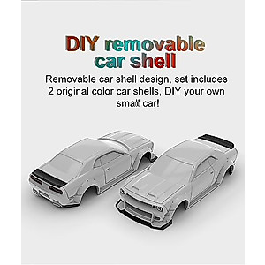 FLYCOLOR TurboRC 1:76 Mini Sports Car 4CH 2.4GHZ Remote Control Full Proportional RTR Kit with 2 Replaceable Body Shell (C75-Black)