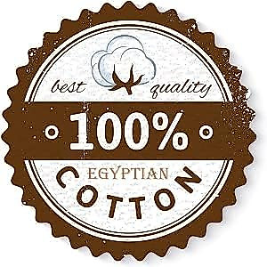 Queen Pillow Shams Set Of 2 PC 100% Egyptian Cotton White Pillow Shams Queen Size 20x30 Pillow Cases 600 Thread Count Soft Skin Friendly Cushion Cover Decorative Queen Size Bed Pillow Covers Set