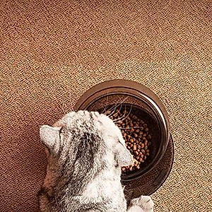 FUUIE Bowls for Food and Water Pet Bowl for Cat and Dog Adjustable Angel Cat Bowl Dog Bowl with Non-Slip Feeder for Cats and Dogs Kitten and Puppy Pet Products (Color : Blue)